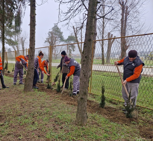Tvornica papira DS Smith posadila 350 sadnica kao potvrdu predanosti ...
